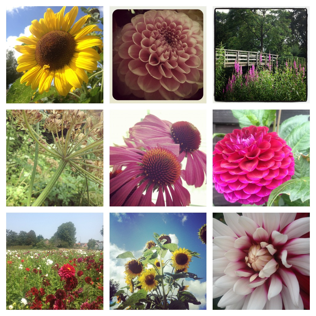 30s Magazine - flowers collage