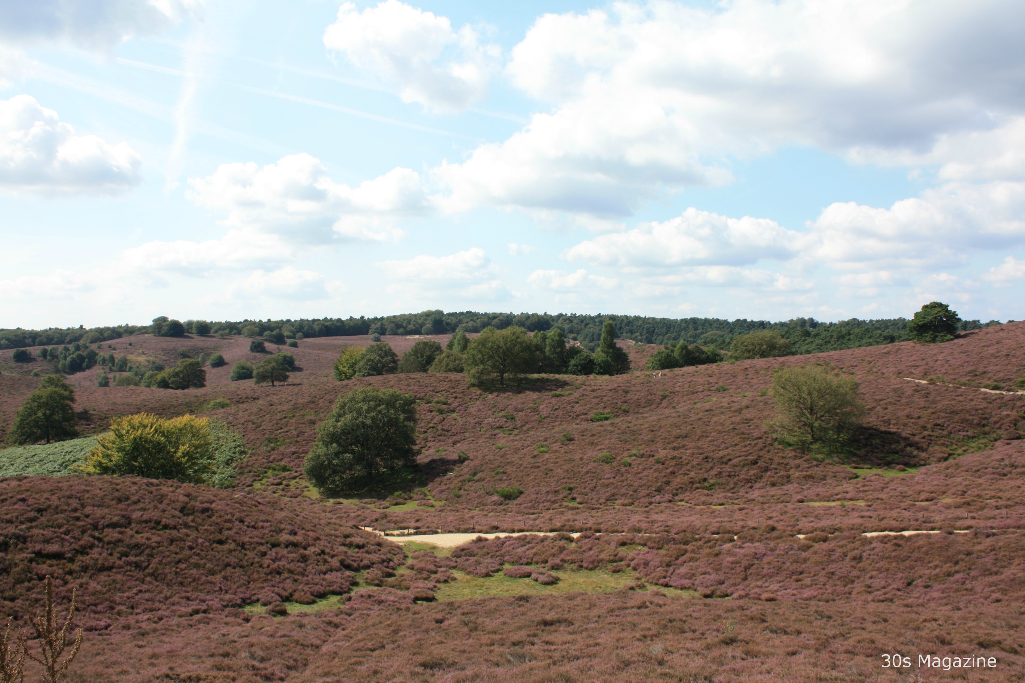 30s Magazine - heather field